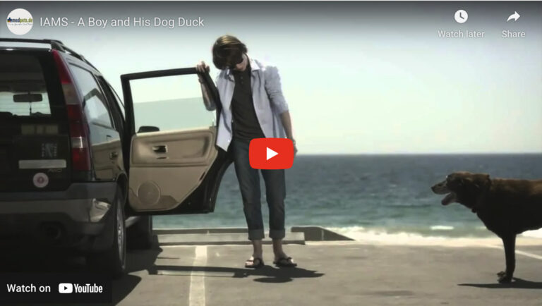 20 Most Memorable Ad Campaigns of 2000 - 2020 | Living Proof Creative