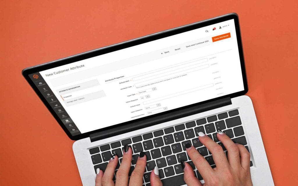 Guide to Magento 2 Extensions for Customer Attributes